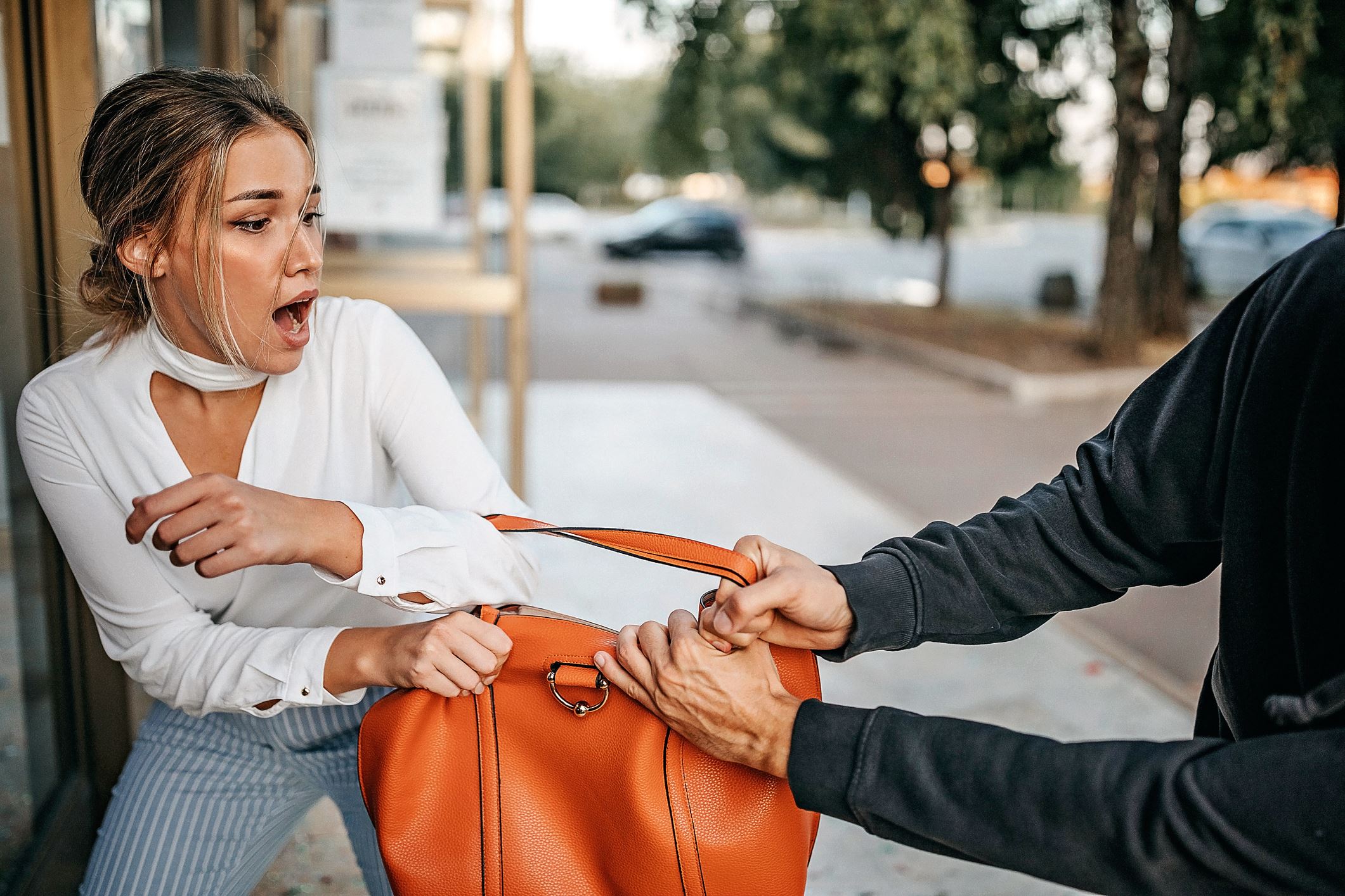 Common Defenses to Theft Crimes